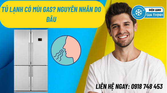 Tủ lạnh có mùi gas: Nguyên nhân và cách khắc phục triệt để - Điện lạnh ...
